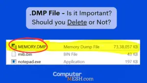 .DMP File - Is it Important? Should you Delete or Not?